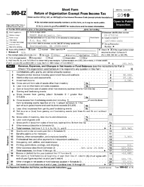 Fillable Online IRS-990.pdf Fax Email Print - pdfFiller