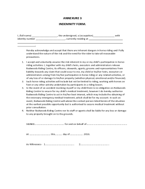 Fillable Online FORM OF INDEMNITY AGREEMENT Fax Email Print - pdfFiller
