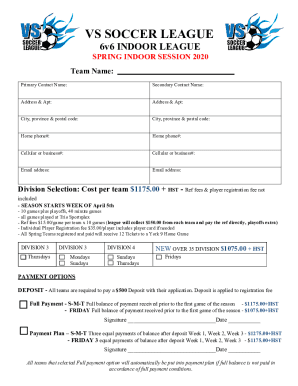 Fillable Online United States soccer league system Fax Email Print ...