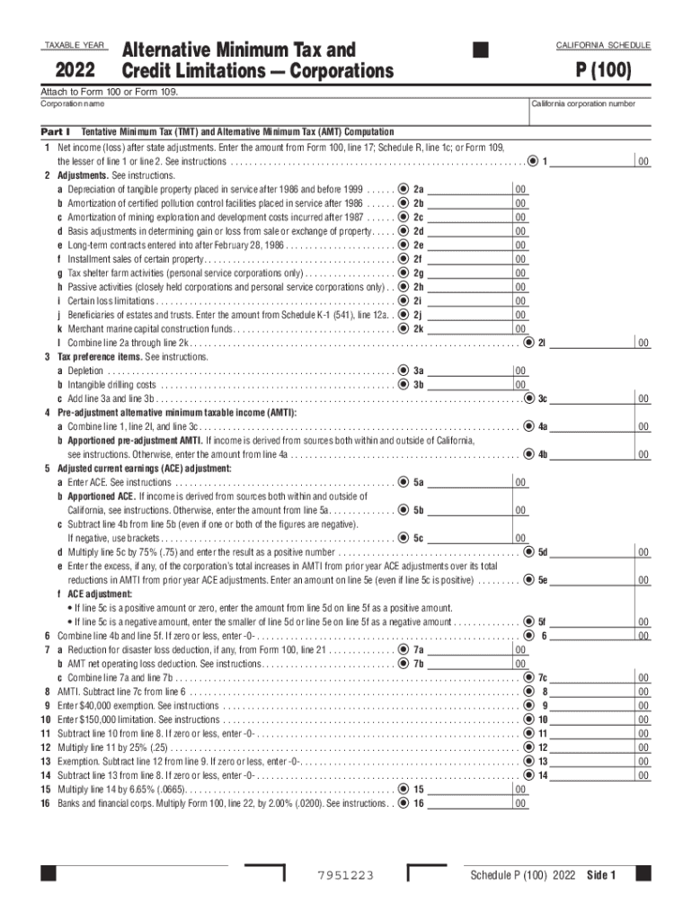 Fillable Online Instructions for Schedule P (100) - e-Form RS Login Fax ...