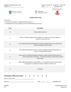 Fillable Online Modified Rankin scale Fax Email Print - pdfFiller