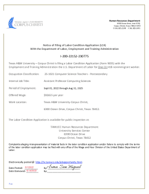 Fillable Online Notice of Filing of Labor Condition Application (LCA ...