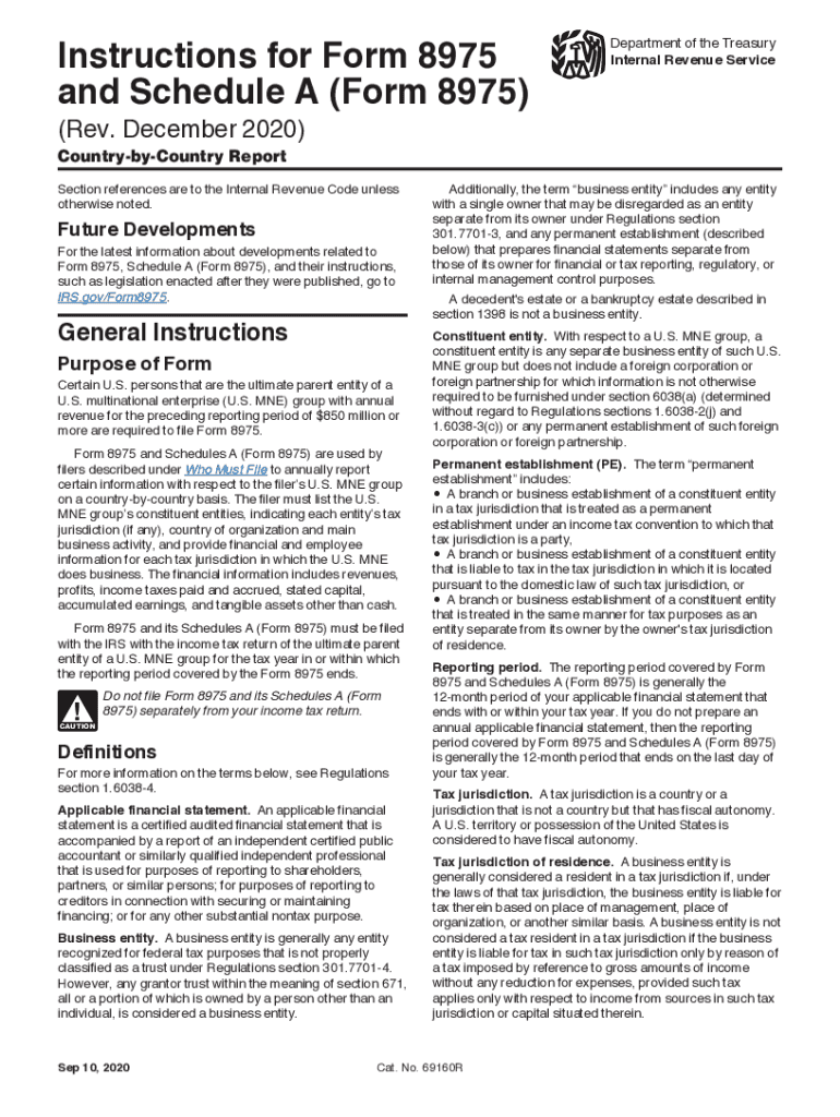 Fillable Online Instructions for Form 8975 and Schedule A ( ... Fax ...