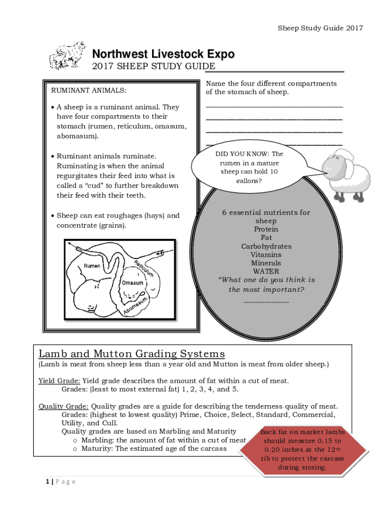 Fillable Online Ruminant Fill in the blank ICEV Flashcards Fax Email ...