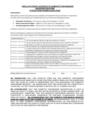 Fillable Online Pinellas County Affidavit of Domestic Partnership ...