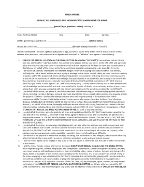 Fillable Online MINOR WAIVER RELEASE, HOLD HARMLESS AND ... Fax Email ...