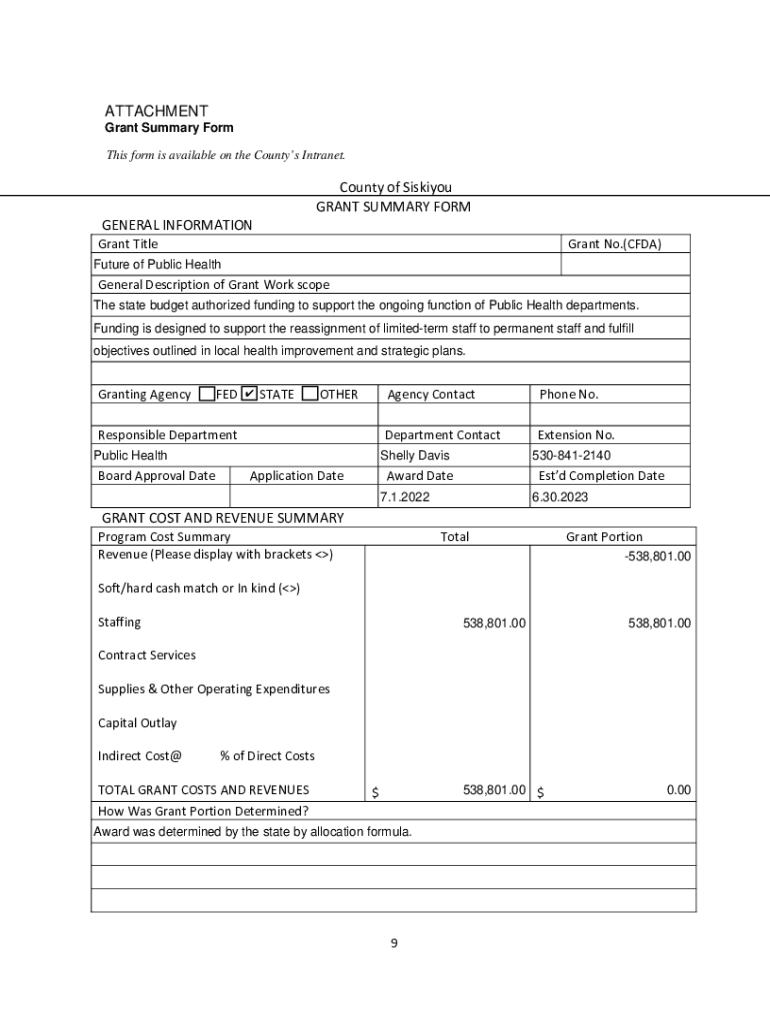 Fillable Online GRANT SUMMARY FORM Fax Email Print - pdfFiller