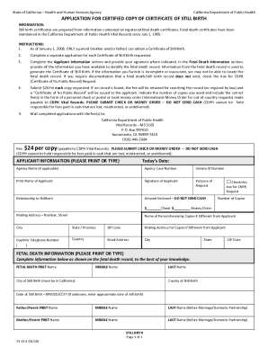 Fillable Online CHSI How to Obtain Certified Copies of Still Birth and ...