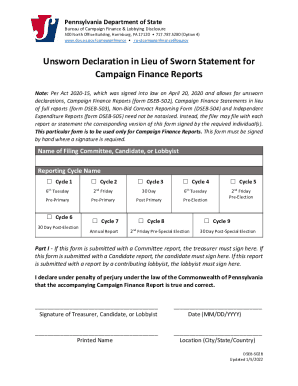 Fillable Online Unsworn Declaration in Lieu of Sworn Statement for ...