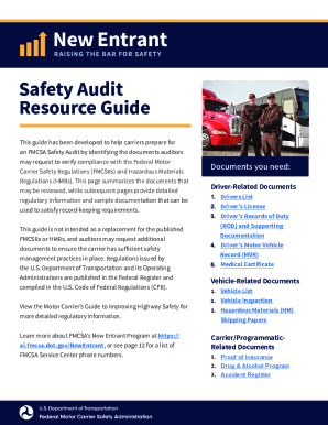 Fillable Online How To Prepare For A Comprehensive FMCSA Safety Audit ...