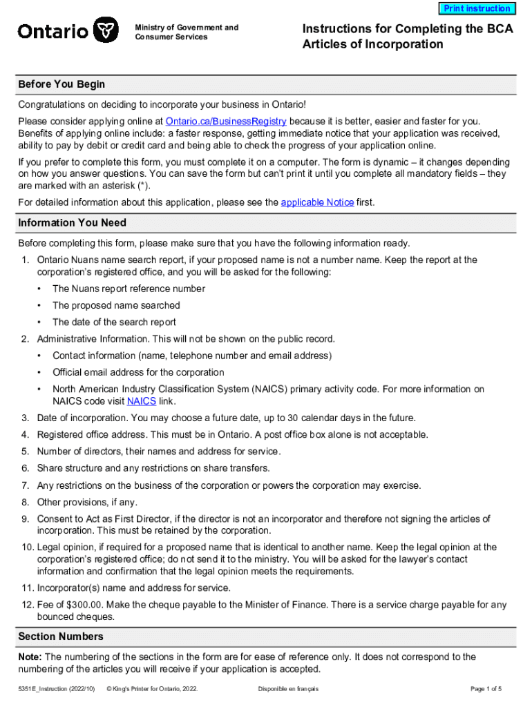 Fillable Online Instructions for Completing the BCA Articles of ...