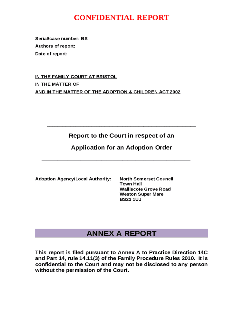 Influencing and Challenging Judges and Their Decisions ... Doc Template ...