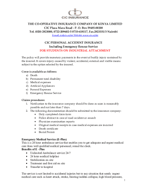 Fillable Online AIG Personal Accident Claims Fax Email Print - pdfFiller