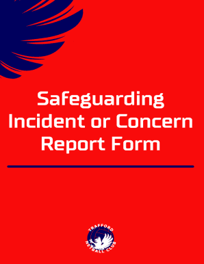Fillable Online Safeguarding Incident or Concern Report Form (not ...