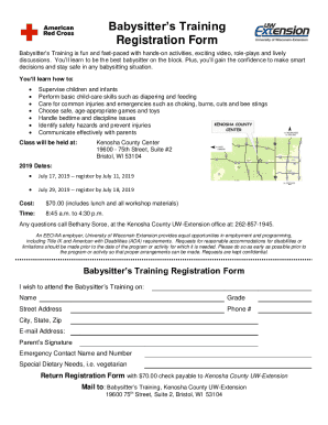 Fillable Online Babysitter's Training Registration Form Fax Email Print ...