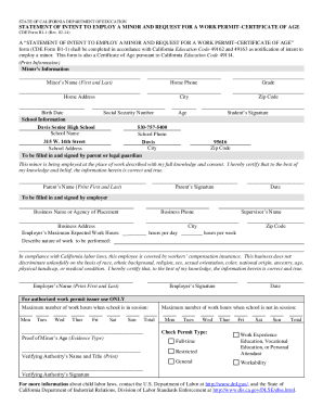 Fillable Online Information on minors and employment Fax Email Print ...