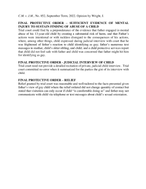 Fillable Online Domestic Violence and Civil Protection Orders in ...