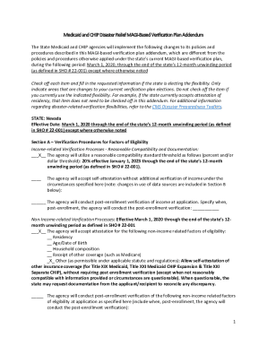 Fillable Online magi-based-verification-plan-addendum-template.docx Fax ...