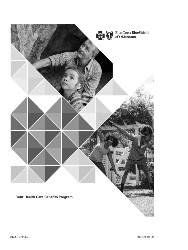 Fillable Online Blue Plus Minnesota Value Silver $3200 Plan 404 Fax ...