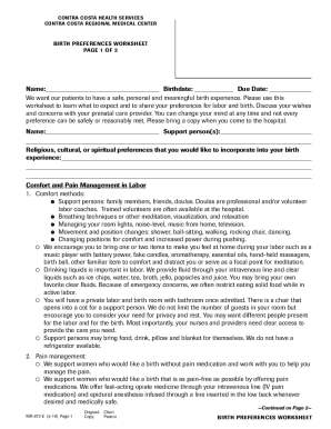 Fillable Online birth preferences worksheet page 1 of 3 Fax Email Print ...