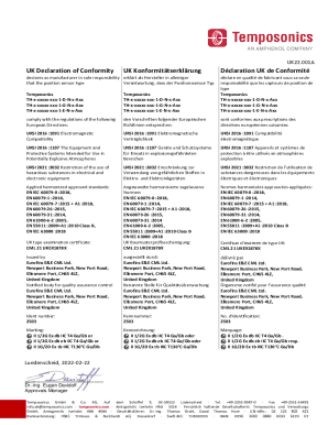 Fillable Online UK Declaration of Conformity UK Konformittserklrung ...