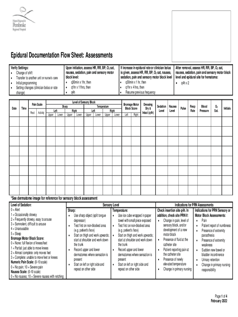 Epidural Documentation Flow Sheet: Assessments: Fill out & sign online ...