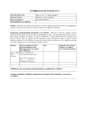 Remplissable En Ligne CURRICULUM VITAE (CV) Fax Email Imprimer - pdfFiller