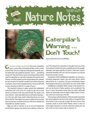 Fillable Online My How we have Changed Butterflies are insects they ...