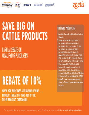 Fillable Online How to Complete Mail In Rebates Fax Email Print - pdfFiller