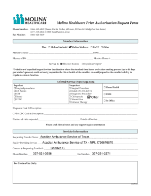 Fillable Online Molina Medicare Pre Auth Form Fax Email Print - pdfFiller