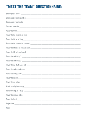 Fillable Online MEET THE TEAM QUESTIONNAIRE: Fax Email Print - pdfFiller