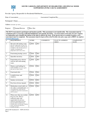 Fillable Online ddsn sc 100-28 SCDDSN Certification and Licensure of ...