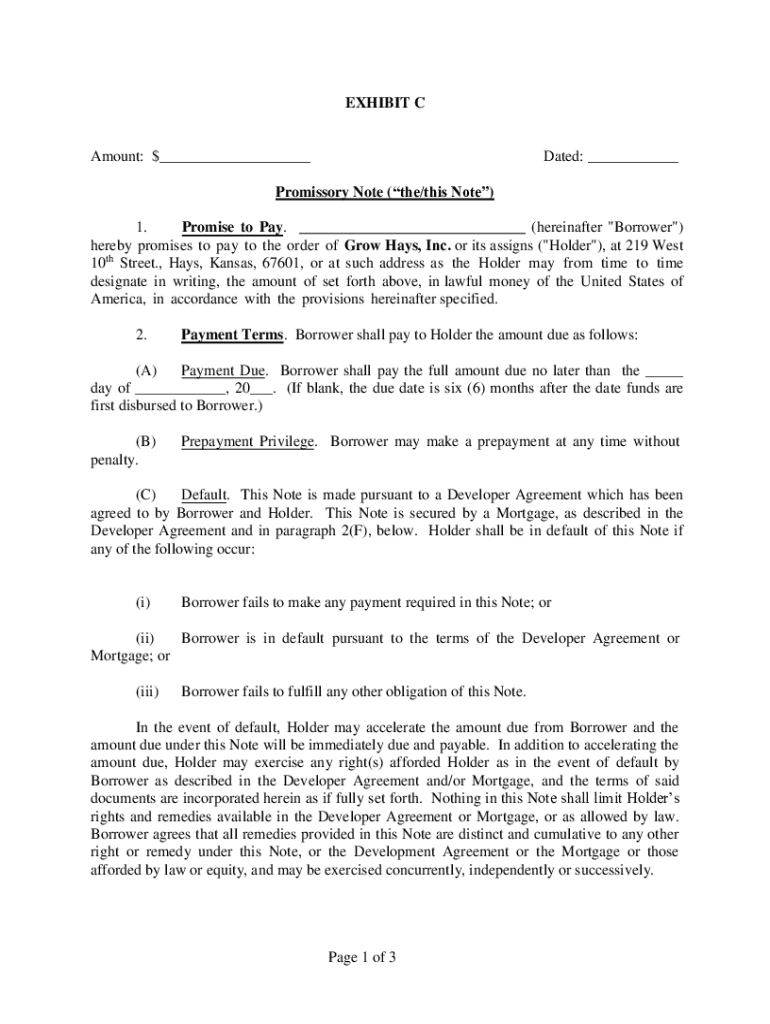 Fillable Online Dated:Promissory Note (the/this ... Fax Email Print - pdfFiller