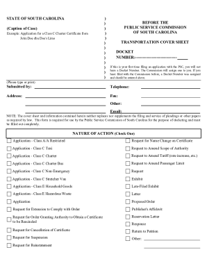 Fillable Online Fillable Online dms psc sc a class c charter ...