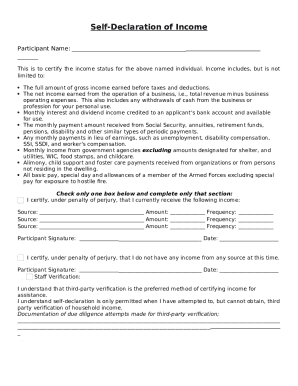 SSVF Self-Declaration of Income Doc Template | pdfFiller