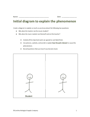 Fillable Online Initial diagram to explain the phenomenon Fax Email ...
