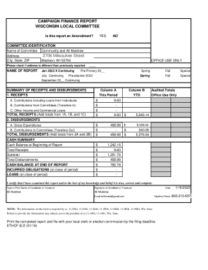 Fillable Online Campaign Finance Registration Statement and Declaration ...