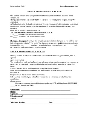 Fillable Online Surgery and Anesthesia Release Form Fax Email Print ...