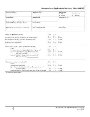 Fillable Online Business Loan Application Summary (Non-HMDA) Fax Email ...