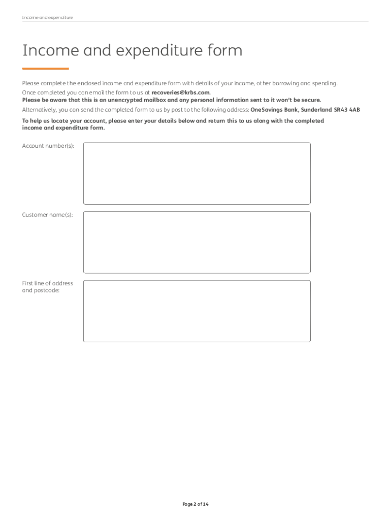 Fillable Online Income and expenditure Fax Email Print - pdfFiller