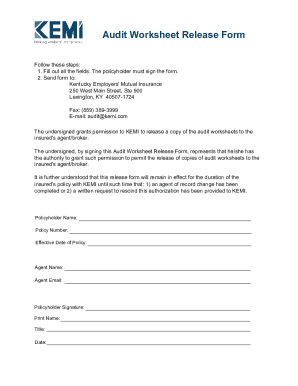 Fillable Online Audit-Worksheet-Release-Form-new Fax Email Print ...