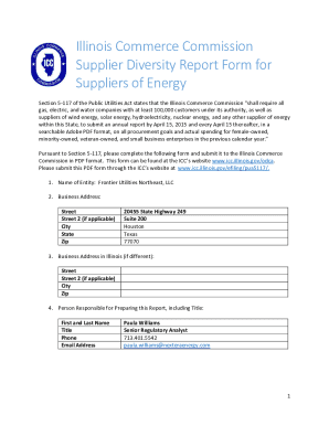 Fillable Online Supplier Diversity Report Form for Fax Email Print ...