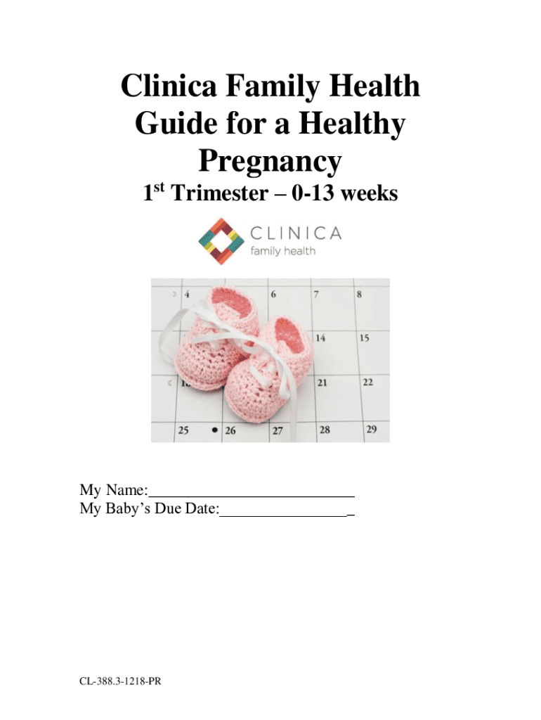 Fillable Online Clinica Family Health Guide for a Healthy Pregnancy Fax ...