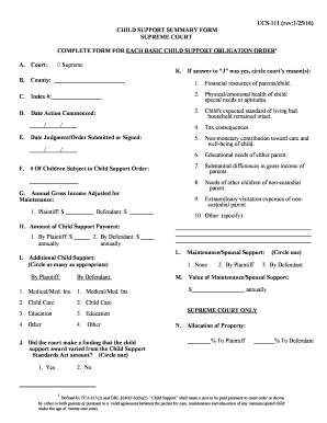 Child Support Summary Form - Fill Online, Printable, Fillable, Blank ...