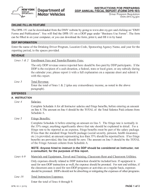 Fillable Online dmv ny Instructions for preparing ddp annual fiscal ...