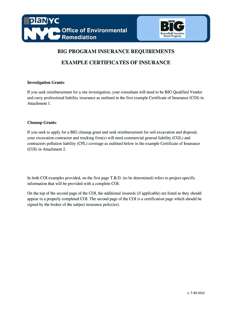 Fillable Online nyc BIG Program Certificate of Insurance examples - nyc ...