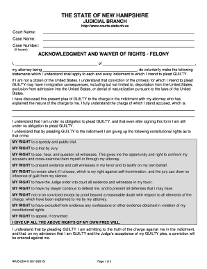 Fillable Online nh Acknowledgment & Waiver of Rights Felony - Judicial ...