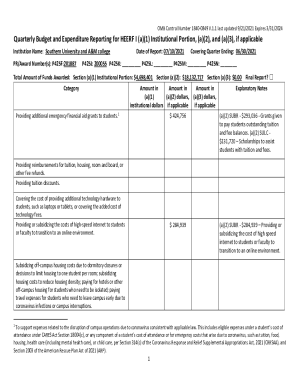 Fillable Online 00 Final Report Fax Email Print - pdfFiller