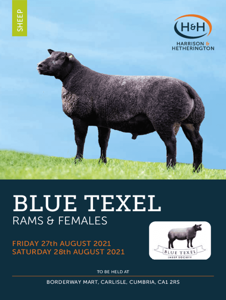 Fillable Online Domestic Sheep, Blue Texel ram, standing with owner ...