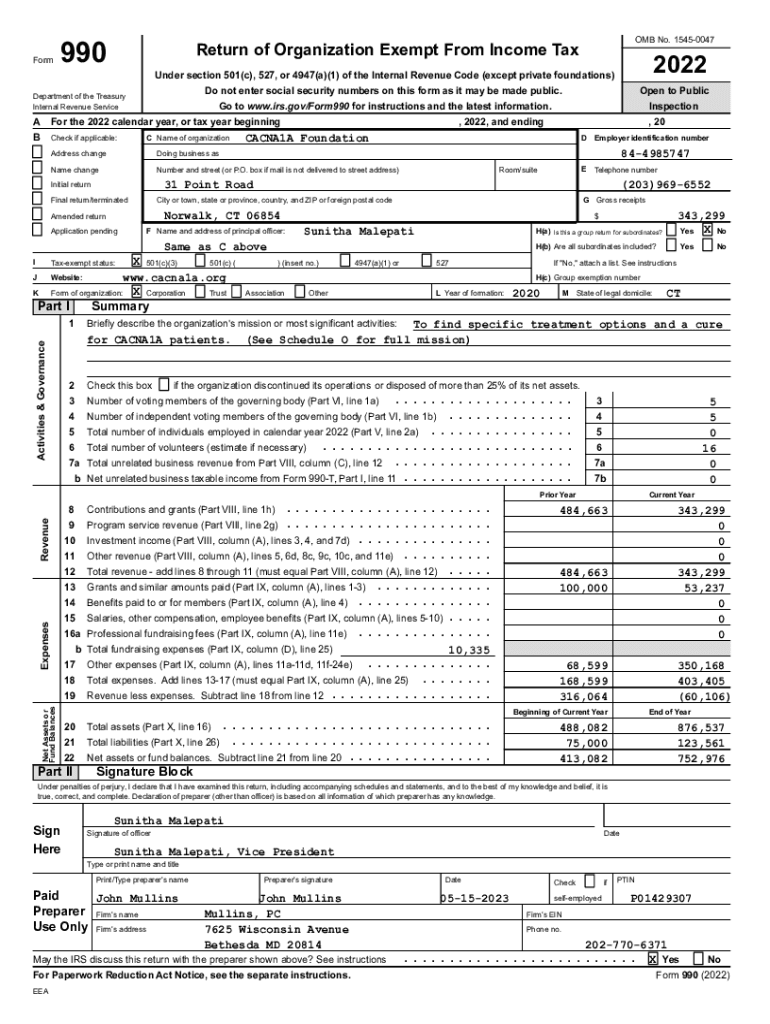 Fillable Online 2022 Tax Return Documents (CACNA1A Foundation) Fax ...